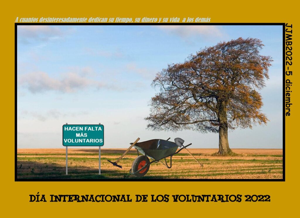 Día Internacional de los Voluntarios 2022 - Capital Noroeste
